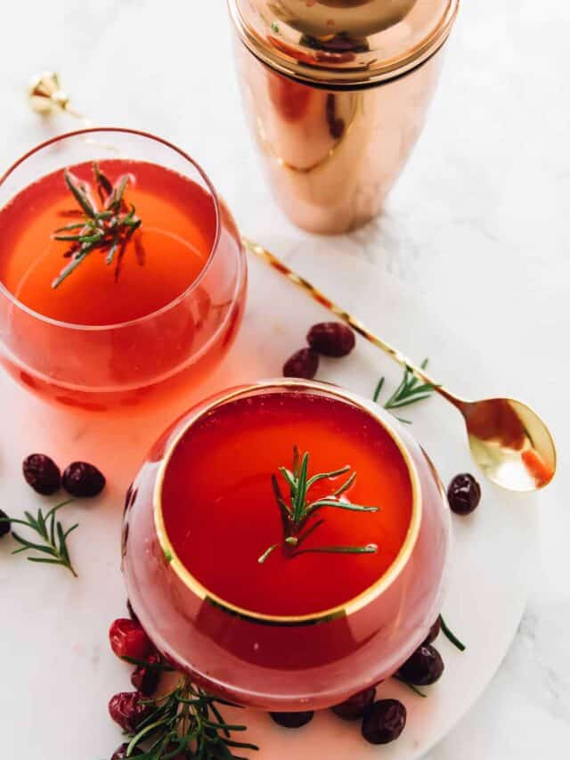 Winter Cranberry Gin Fizz Cocktail - Jessica in the Kitchen