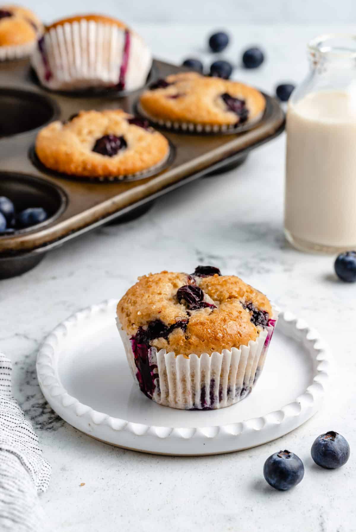 The Best Vegan Blueberry Muffins | Jessica in the Kitchen