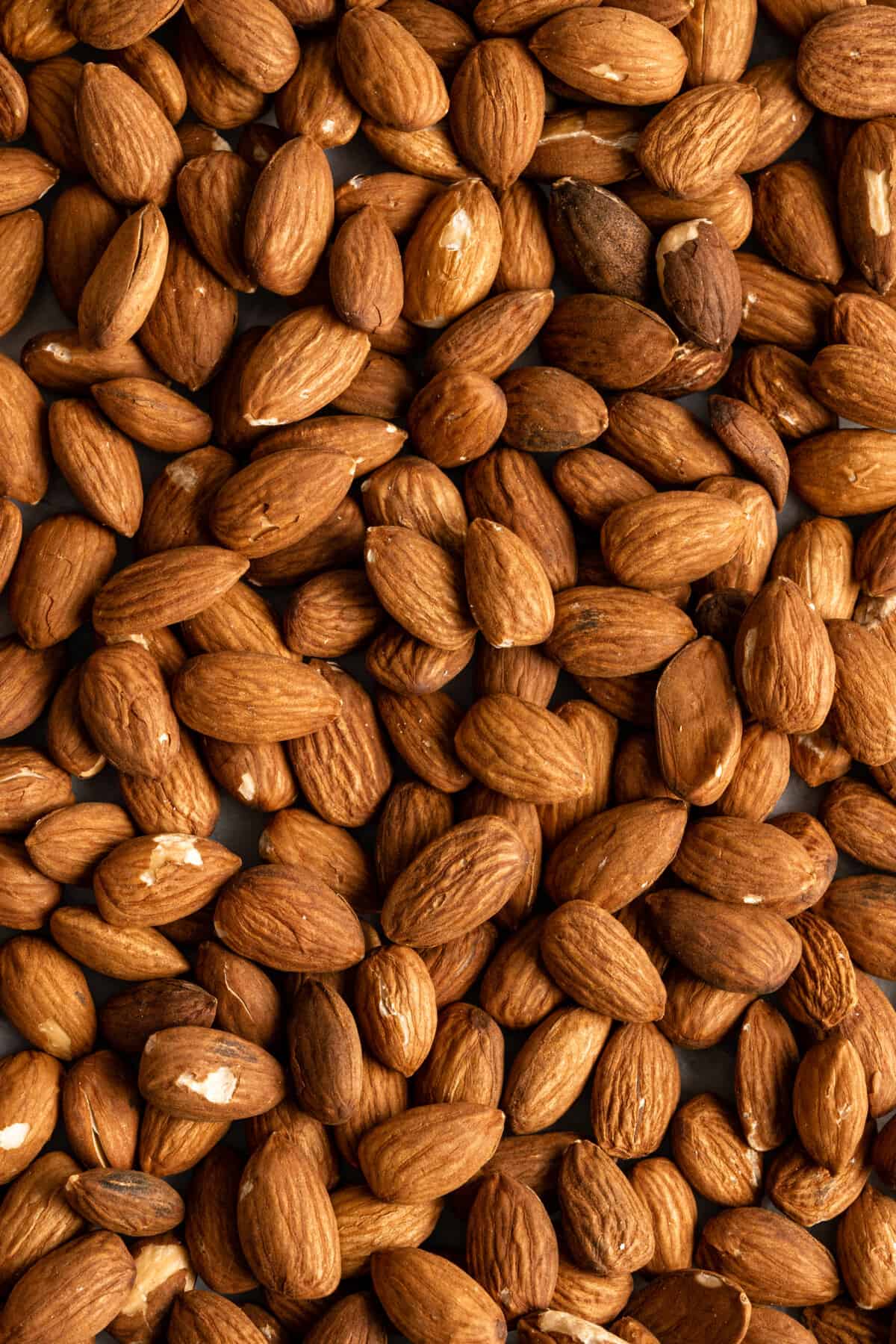 The 35+ Best Vegan Protein Sources - Jessica in the Kitchen