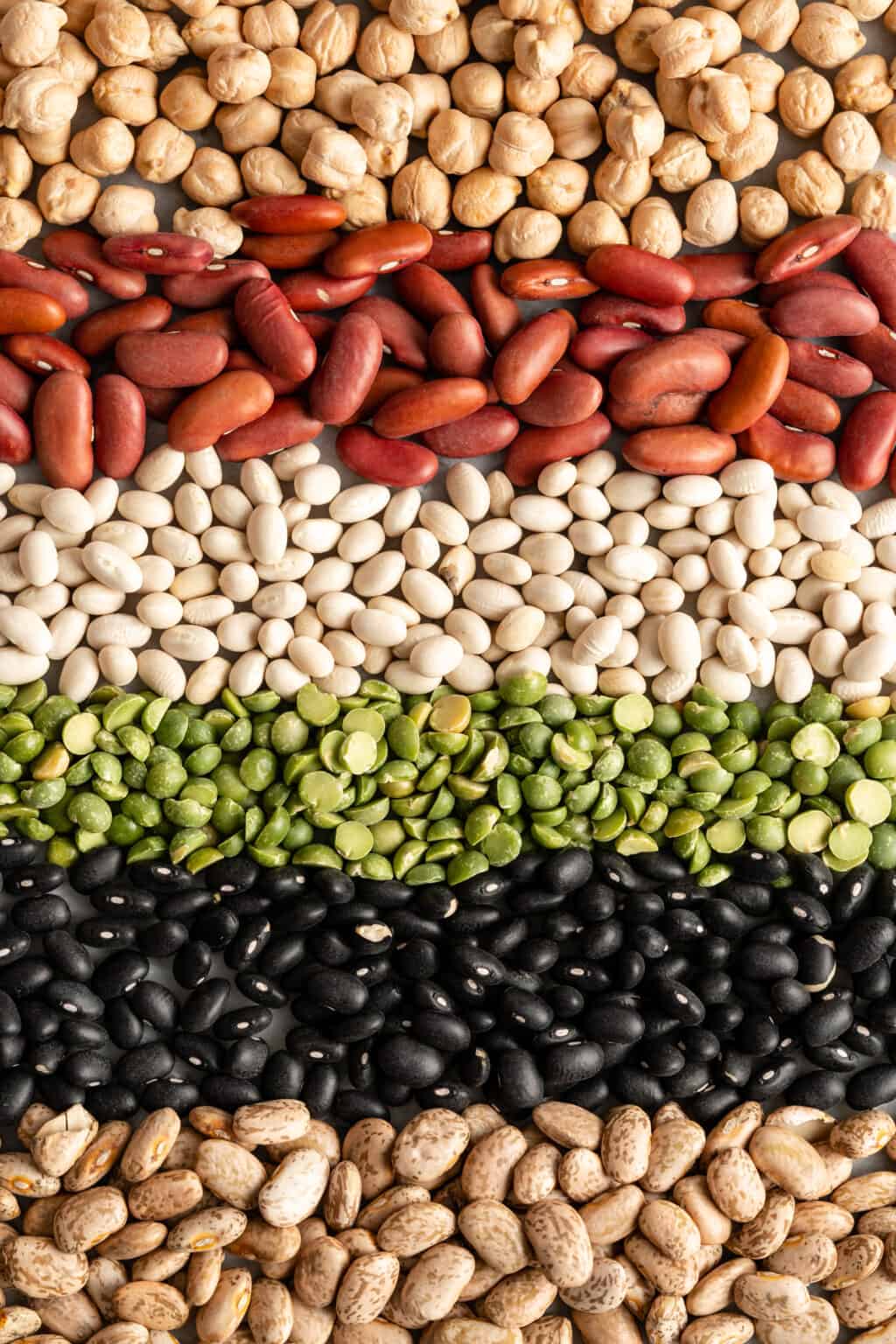 The 35+ Best Vegan Protein Sources - Jessica in the Kitchen