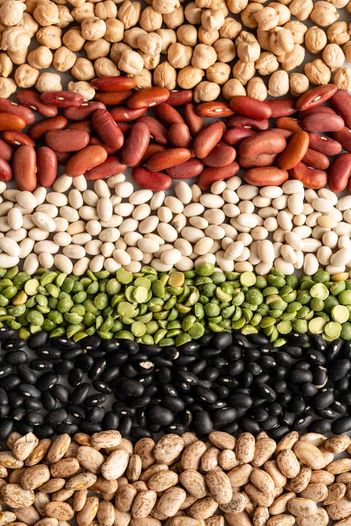 The 35+ Best Vegan Protein Sources - Jessica in the Kitchen