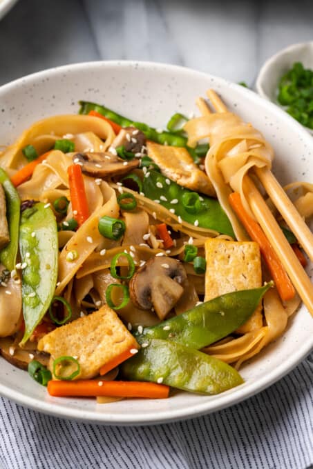 Chow Fun Noodles | Jessica in the Kitchen