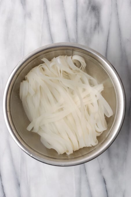 Chow Fun Noodles | Jessica in the Kitchen