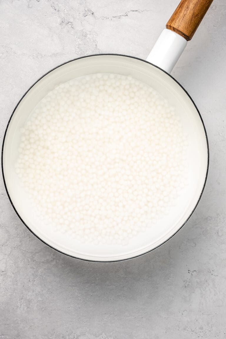 Tahô (Filipino Sago + Silken Tofu Dessert) | Jessica in the Kitchen