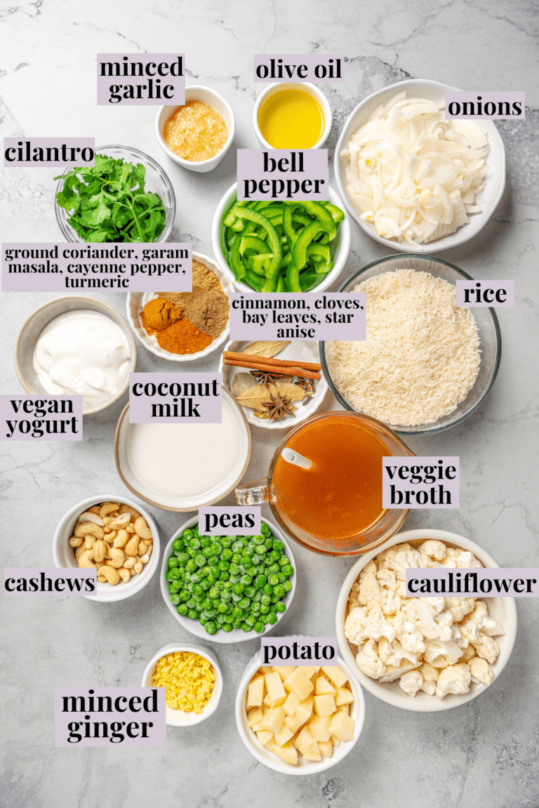 Vegetable Biryani – Domajax