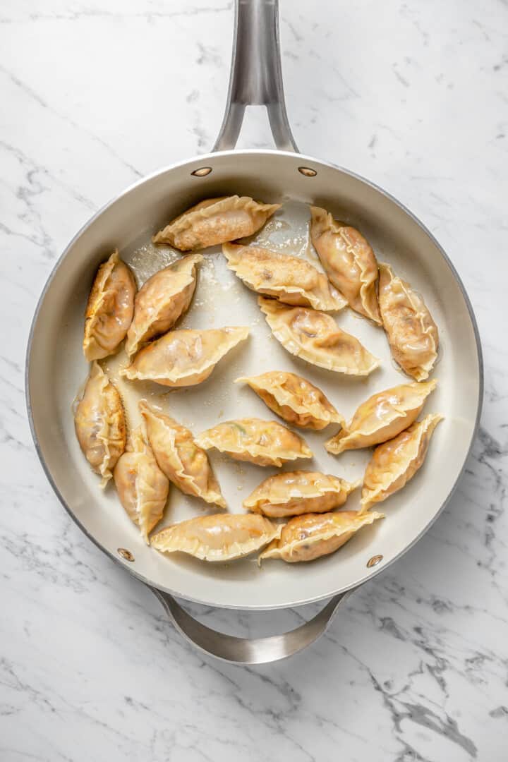 Vegan Dumplings With Dipping Sauce | Jessica in the Kitchen