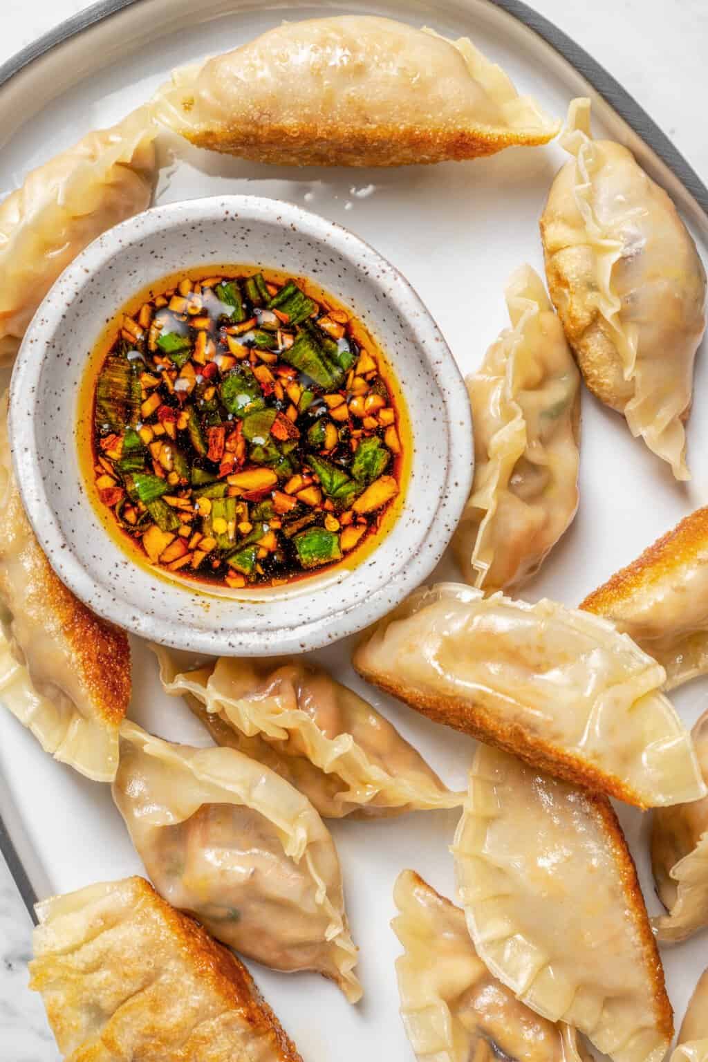 Vegan Dumplings With Dipping Sauce | Jessica in the Kitchen