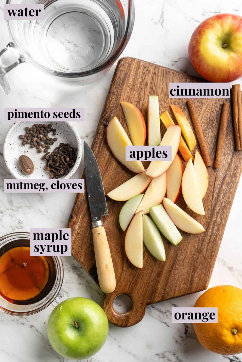 Hot Spiced Apple Cider | Jessica in the Kitchen