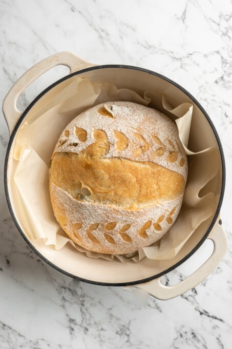 Olive Bread | Jessica in the Kitchen