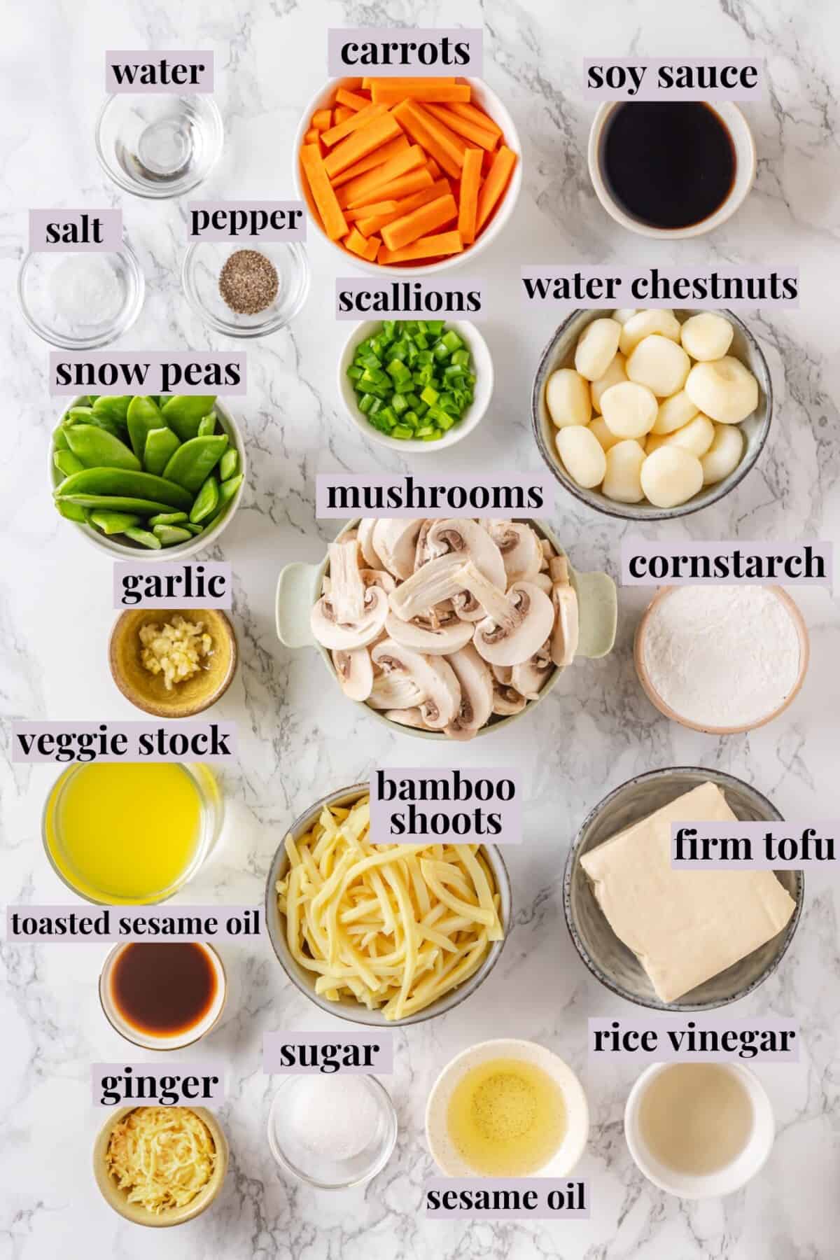 Moo Goo Gai Pan | Jessica in the Kitchen