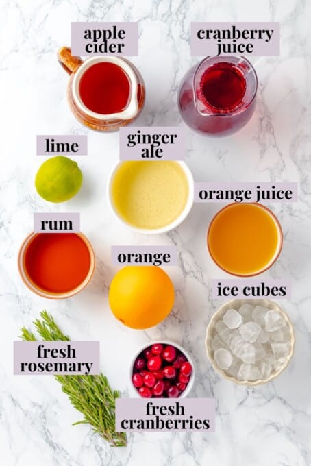 Christmas Punch | Jessica in the Kitchen