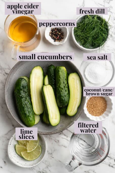 How to Make Pickles | Jessica in the Kitchen