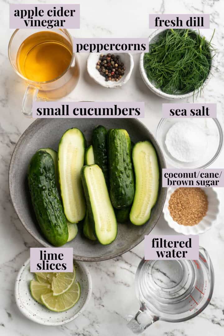 How to Make Pickles | Jessica in the Kitchen