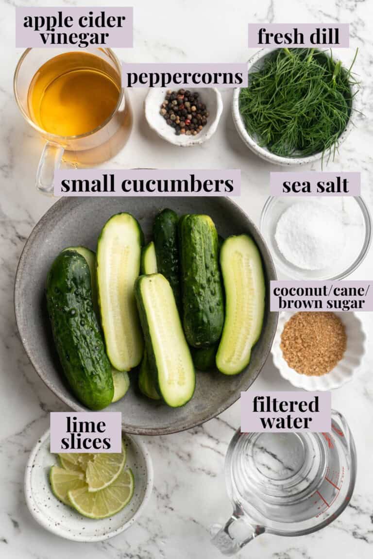 How to Make Pickles | Jessica in the Kitchen