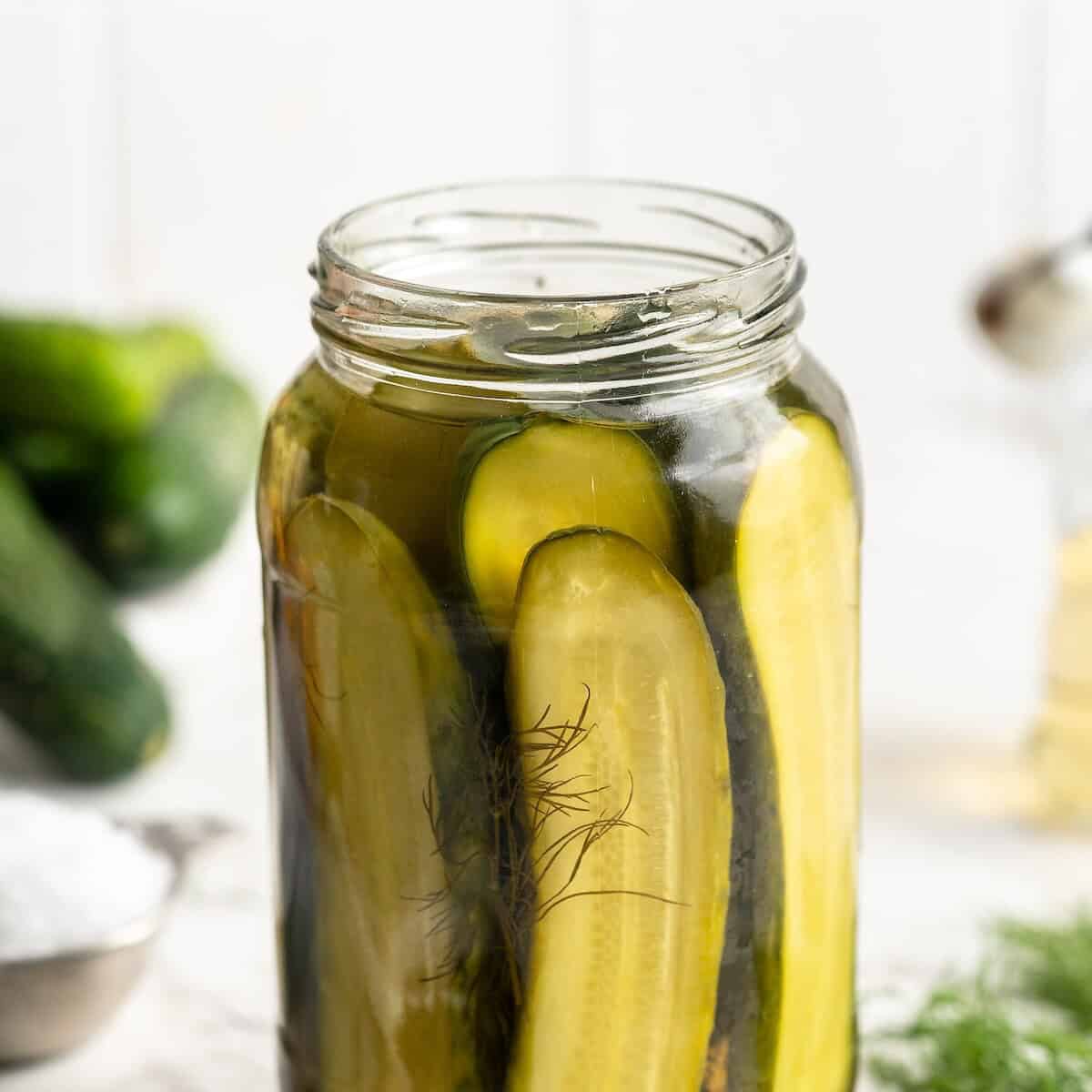 How to Make Pickles | Jessica in the Kitchen