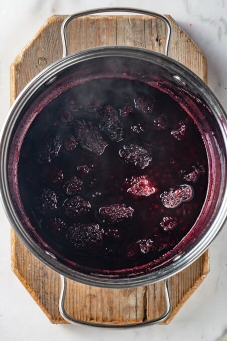 Blackberry Margarita (So Refreshing!) | Jessica in the Kitchen